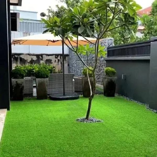 22 Macam Jenis Pohon Peneduh atau Pelindung untuk Taman - Detail Artikel