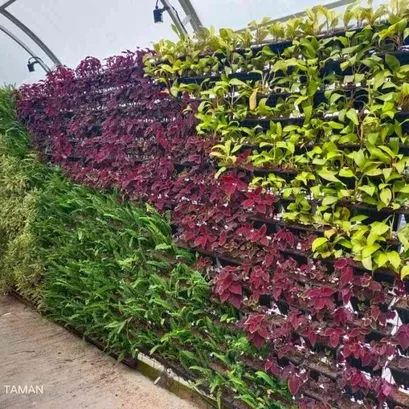 Vertical Garden Pot dengan Penyiraman Otomatis - Warung Tanaman